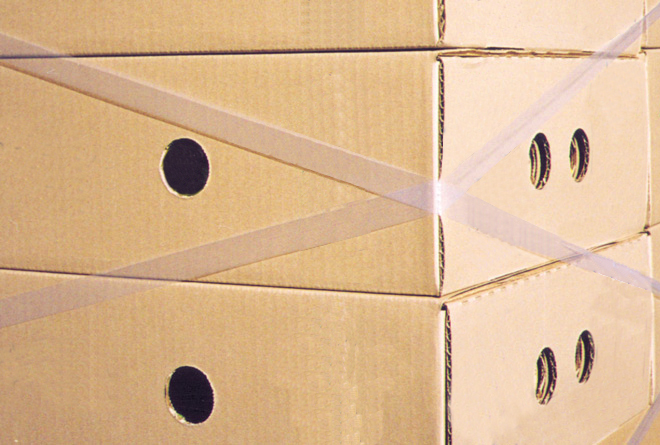 Using Stretch Film Roping to Unitize Pallet Loads that Require ...